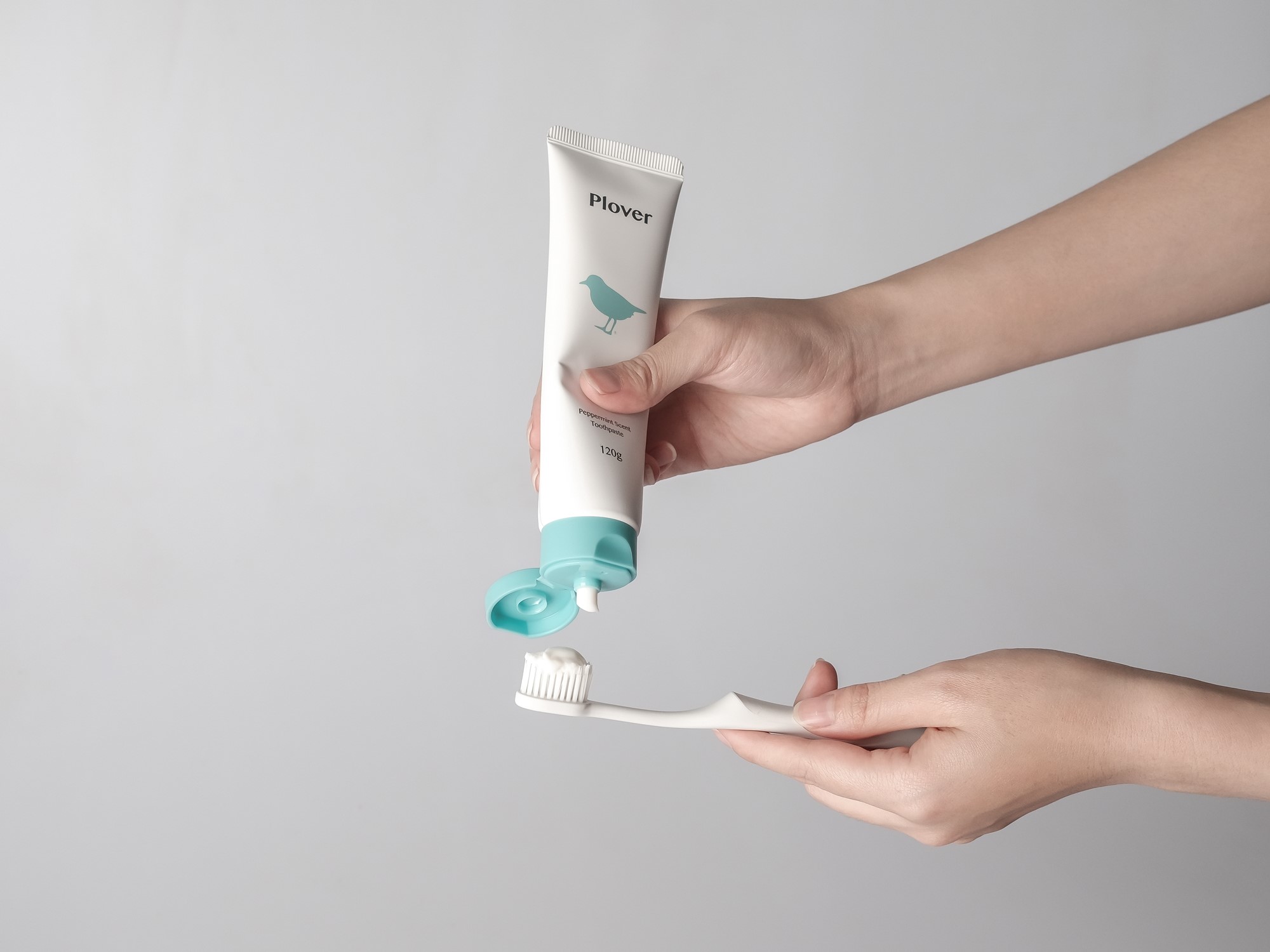 Plover Toothbrush Set - hs²